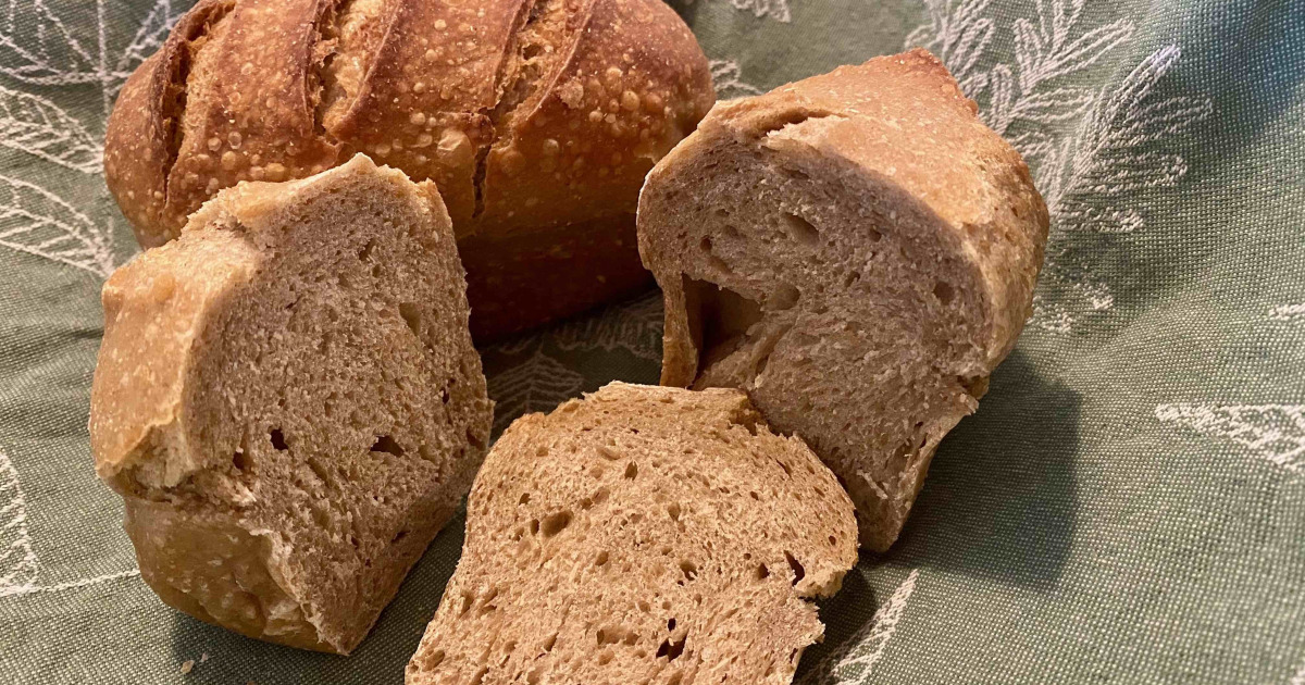 petits pains au levain 250 grs blé et épeautre