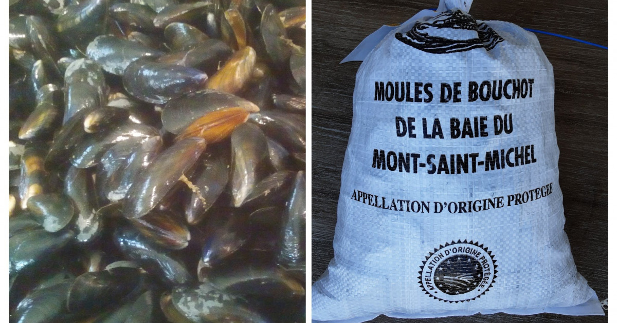 Moules de bouchot de la la Baie du Mont Saint Michel AOP - 10kg