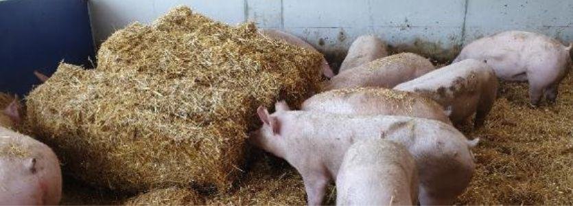 Ferme les Acacias
