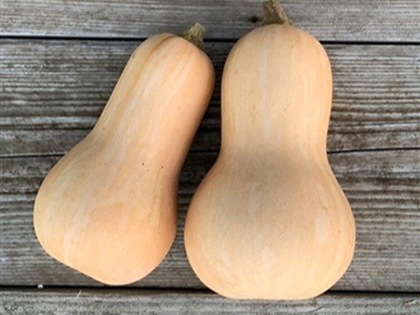 Butternut 1kg
