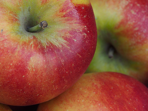 Pomme Story Bio - 1kg