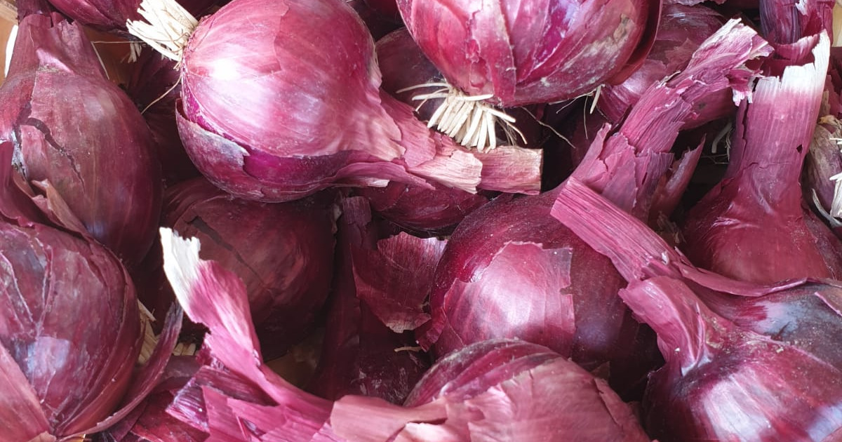 Oignons rouges bio - 5kg