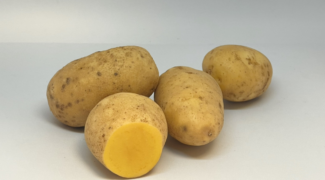 Pommes De Terre Aztec Gold - 5kg