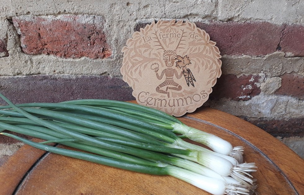 Botte d'oignons blancs Bio - 100g