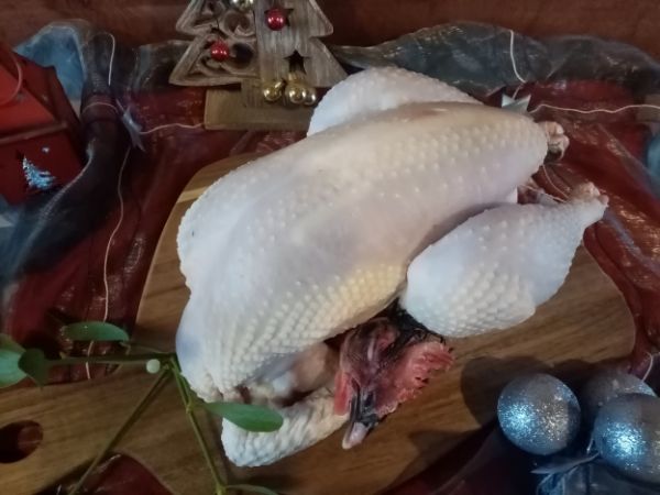 Poularde fermière - moyenne - 2,5kg minimum