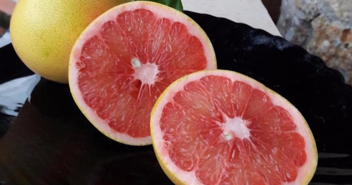 Pamplemousse À Chair Rouge Non-traité