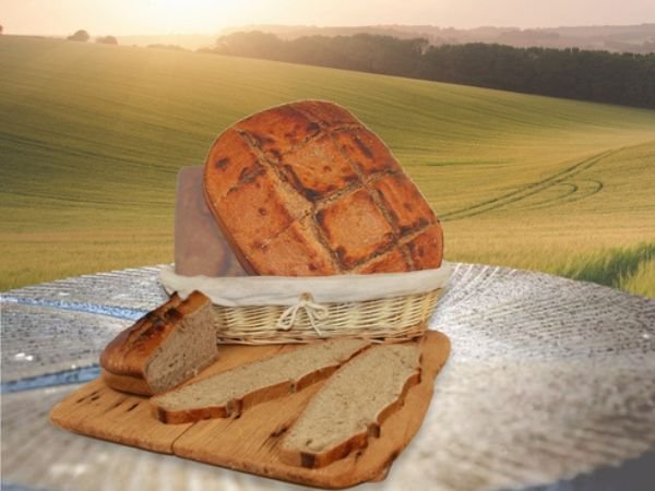 Pain Blé nature - Tortue