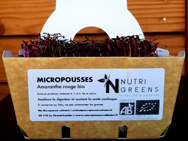 Micro-pousses d'amarante rouge Bio 16 barquettes