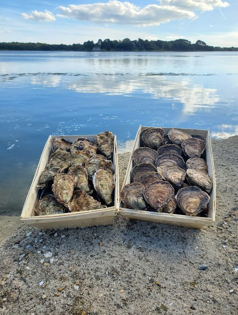 Mix Huitres creuses et Plates pour 4 personnes