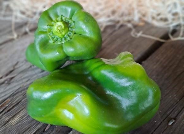 Poivron vert Bio - 1 kg
