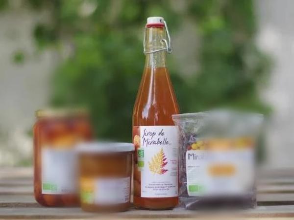 Sirop de Mirabelle bio Origine Lorraine 50cl