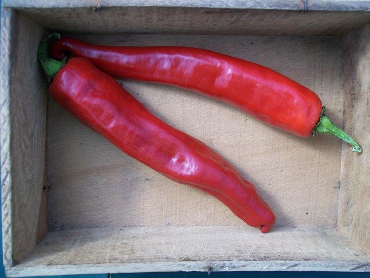 Piment Piquant d'Algérie 1kg