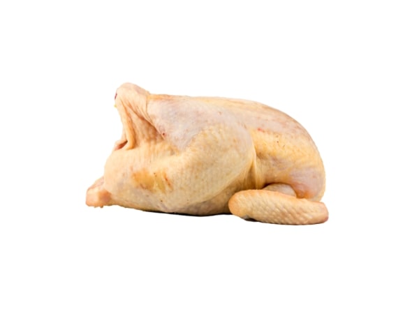 Poulette dorée de Vertessec - 1,5kg