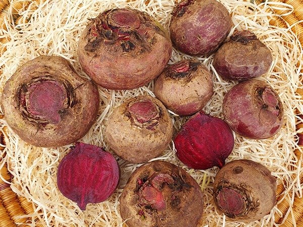 Betteraves Rouge