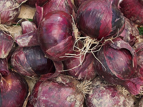 Oignon rouge bio [500g]