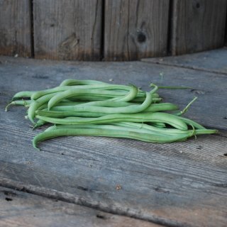 Haricot vert 500g