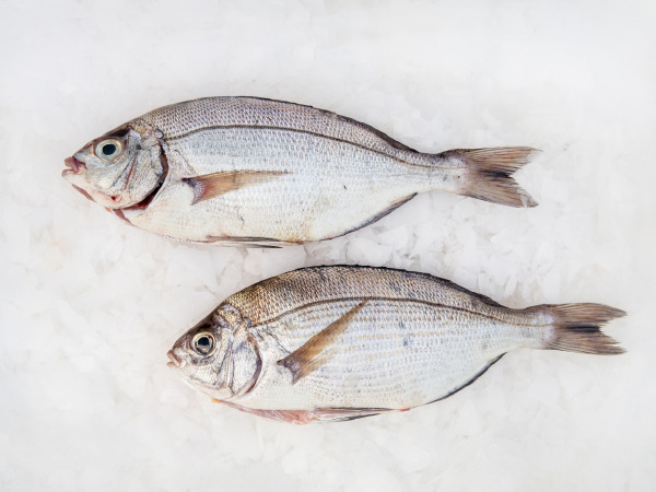 Dorade Grise - Lot De 1kg