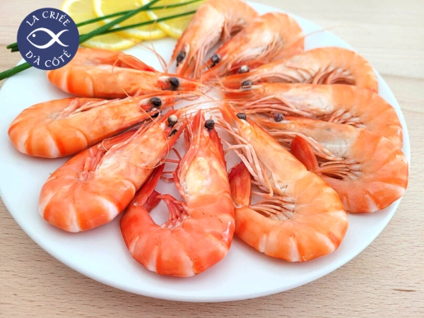 Crevettes de Madagascar BIO 40/60 - 500 g