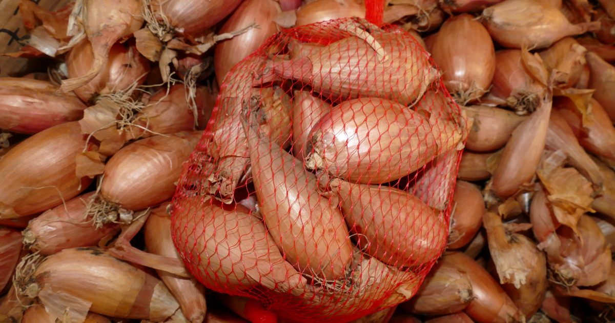 Échalotes sachet de 500g