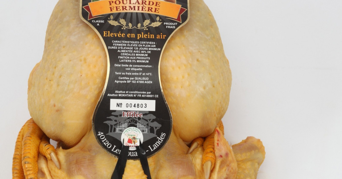 Poularde Fermière Label Rouge – 2000g