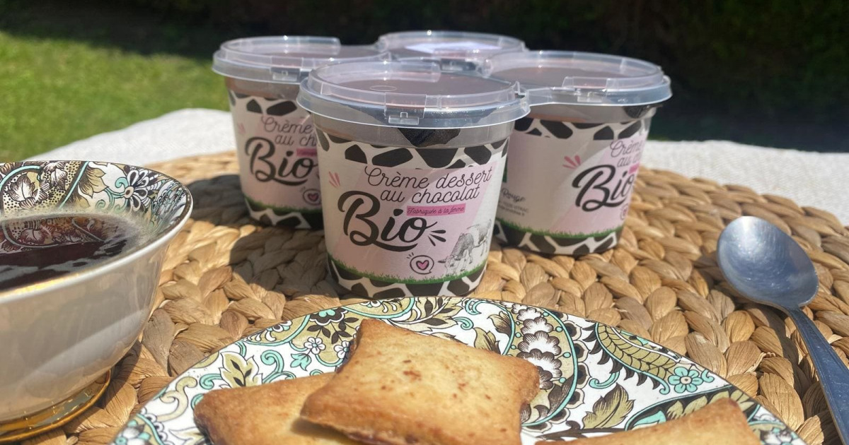 Yaourt de vache chocolat Bio 1 pack de 4