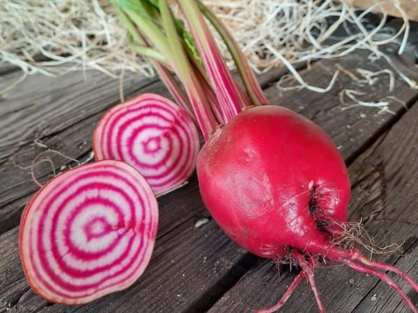 Betterave Chiogga Bio - 500 g