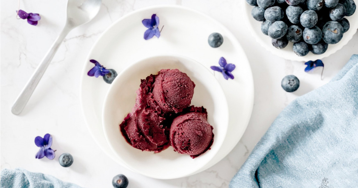 Sorbet Myrtille Violette 480ml