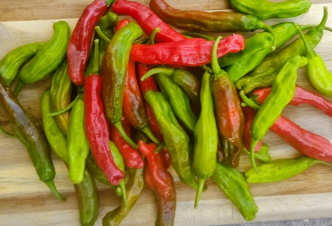 Piment frais Shishitou 400g