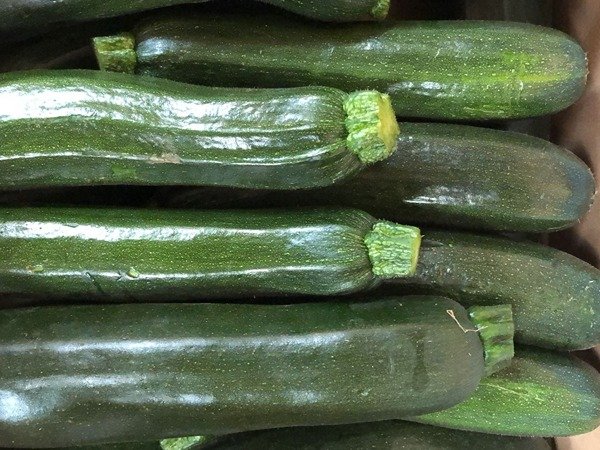 Courgette longue verte x 5 kg