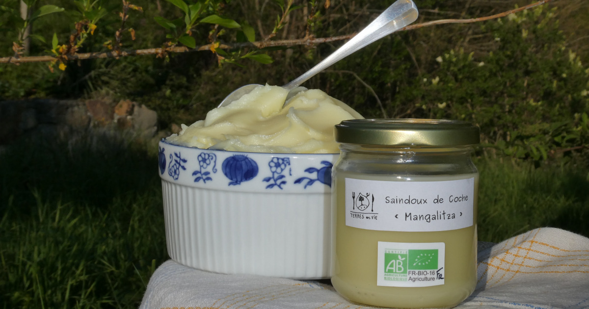 Saindoux Bio de Coche Mangalica