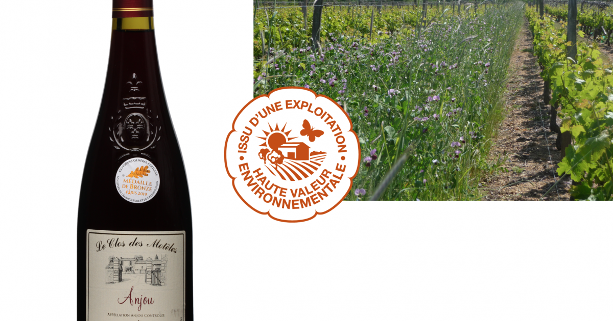 Aoc Anjou Rouge 2020. 3 Bouteilles