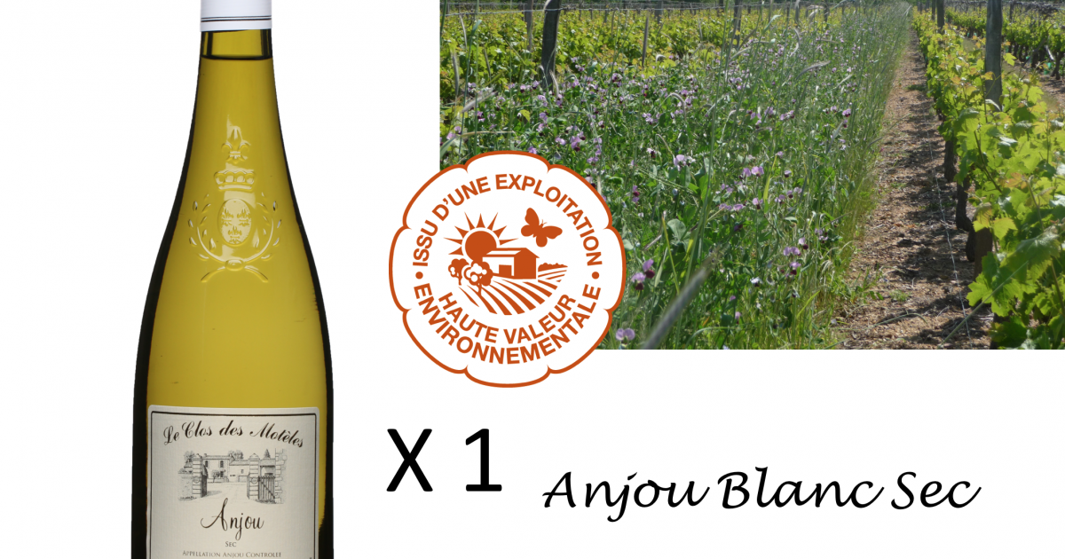 Aoc Anjou Blanc Sec 2020: 1 Bouteille