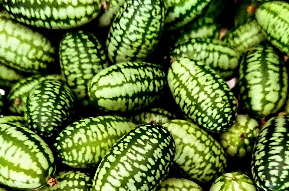Cucamelon