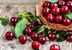 Cerise Bio - 500 g !! Quantité limitée