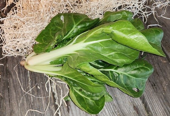 Mini blette Bio - 750 g