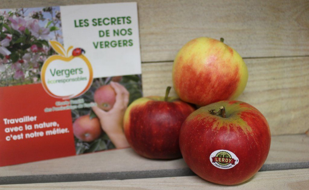 Pommes Elstar - Colis 5kg