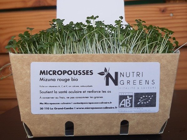 Micro-pousses de moutarde blanche Bio 4 barquettes