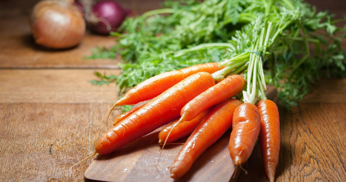 Carotte orange longue – Le légume racine par excellence