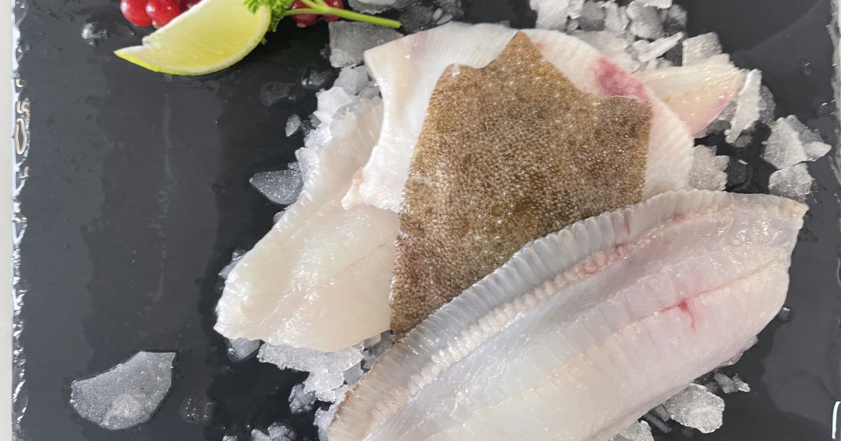 Filet de barbue 500gr