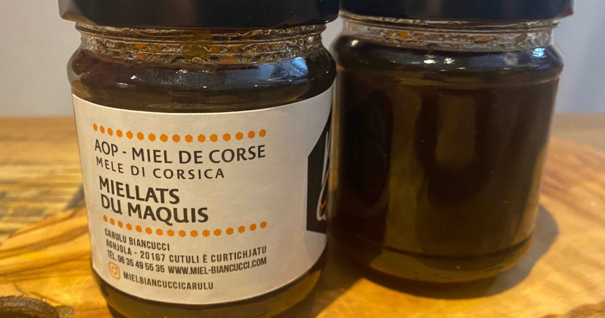 Miel de miellat Corse AOP du maquis