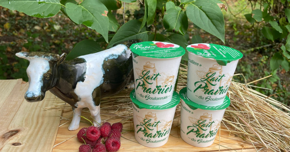 Yaourt brassé à la framboise x4