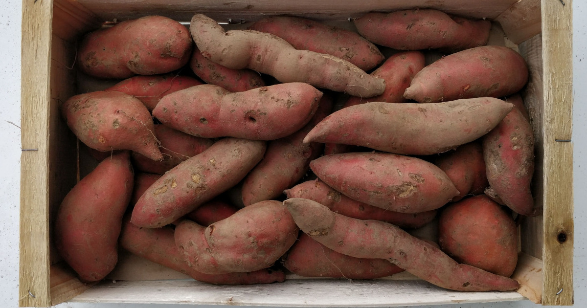 Patate Douce BIO 2kg