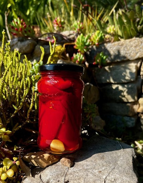 POIVRON PEQUILLO ENTIER AIL 290gr