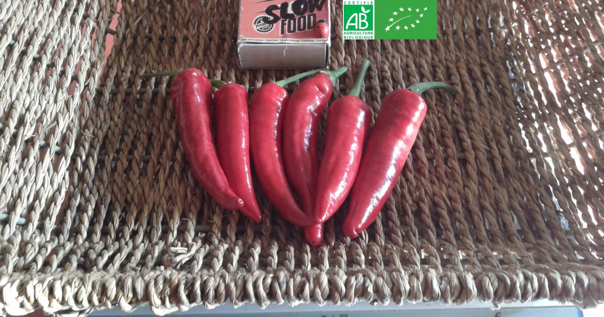 Piment frais rouge fort - 100g