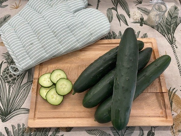 Concombre Noa – BIO – 3 achetés = 1 OFFERT