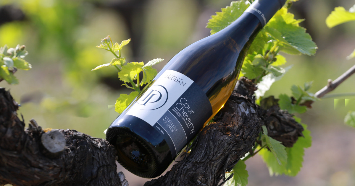 Vin AOC Cour Cheverny Blanc Tradition