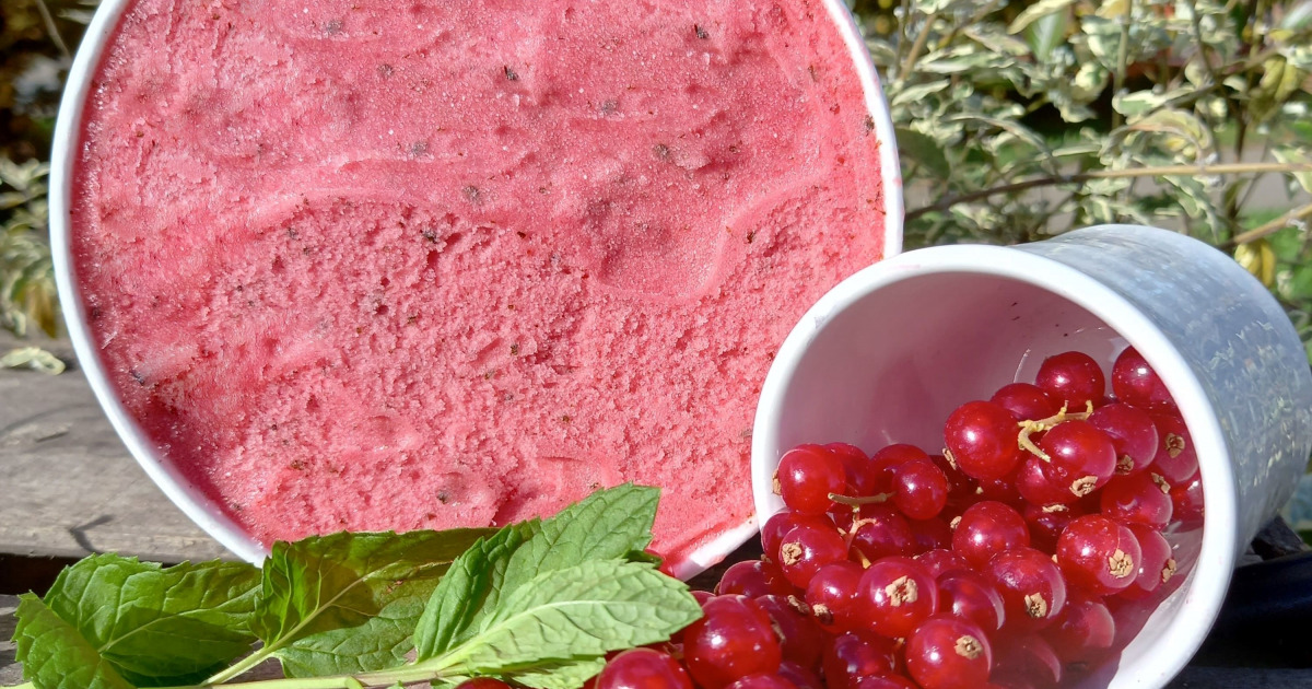 Sorbet Groseille Menthée BIO 1 litre