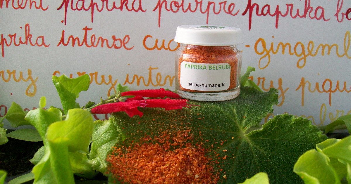 Paprika Belrubi Bio Cultivé en France 5 g