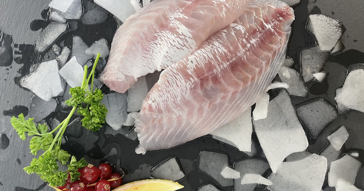 Filet de dorade 500gr