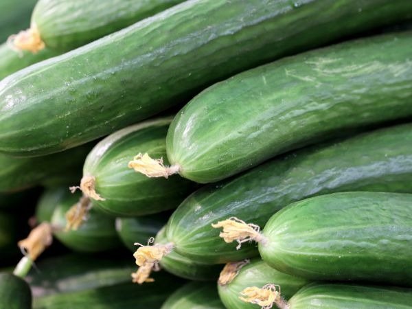 Concombre - Long 300g